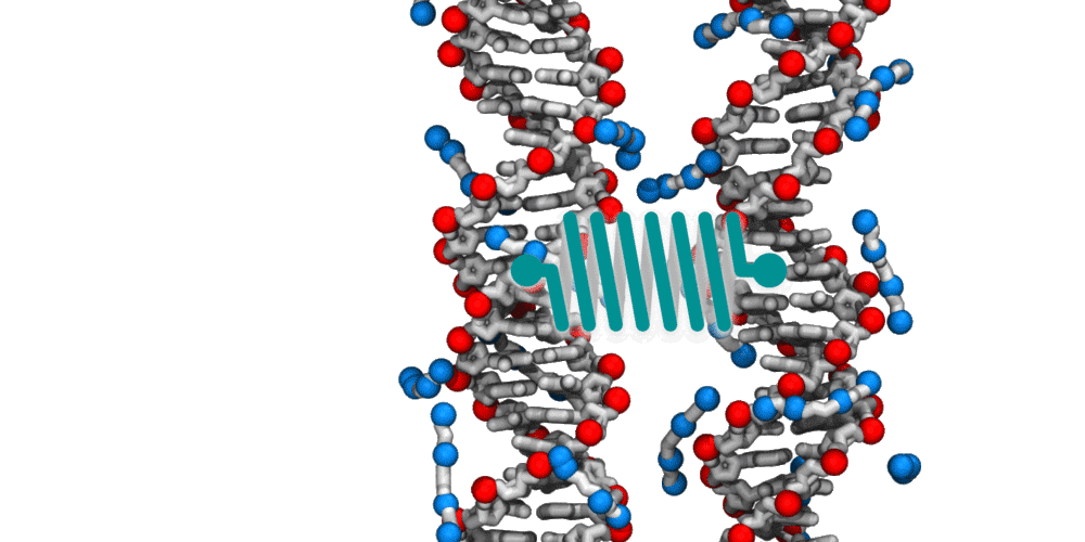 Illinois Featured Content