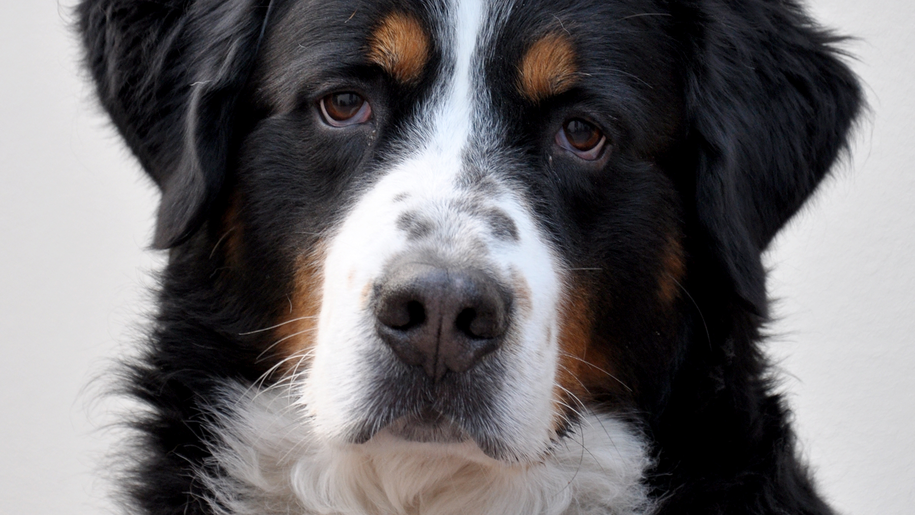 Illinois Featured Content