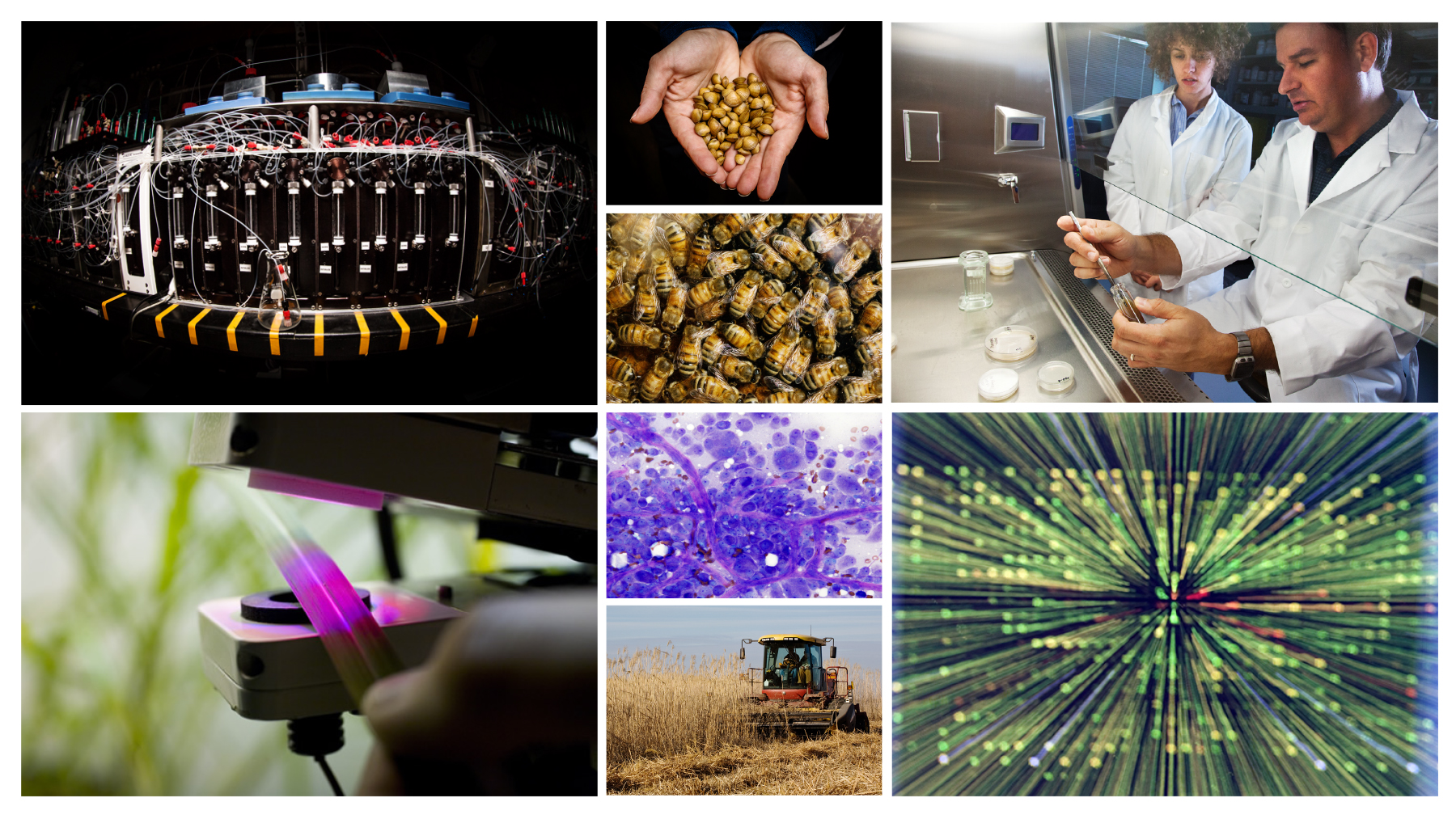 Illinois Featured Content