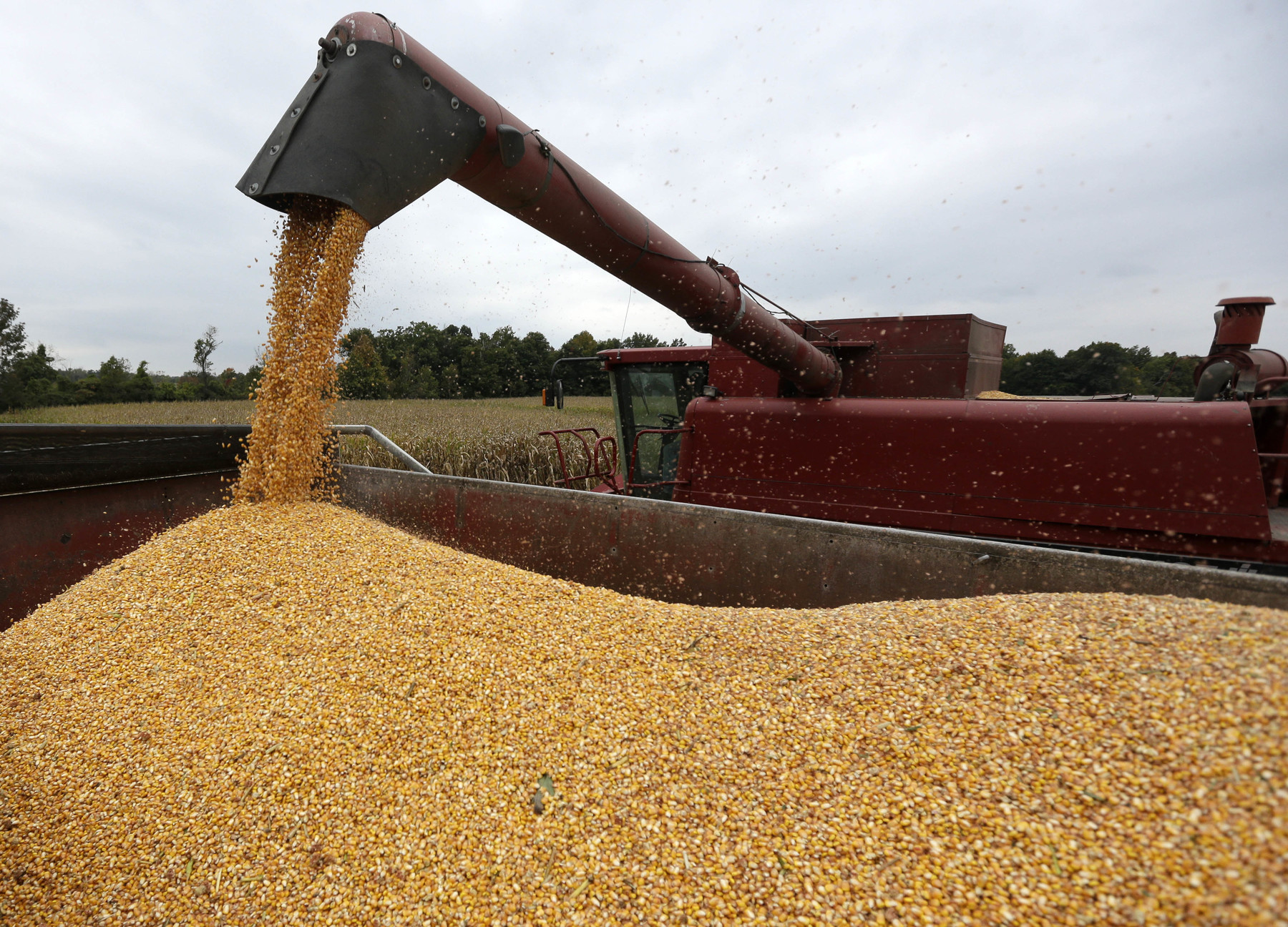 Illinois Featured Content