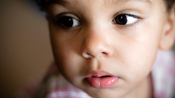 Illinois Featured Content