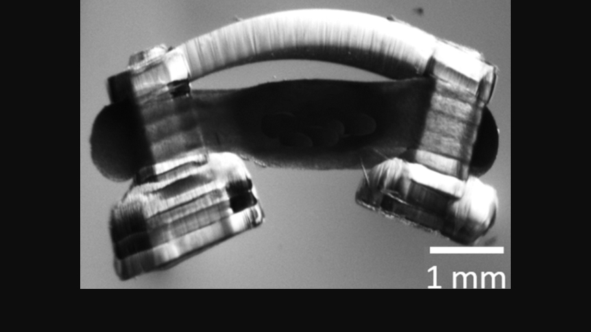 Illinois Featured Content