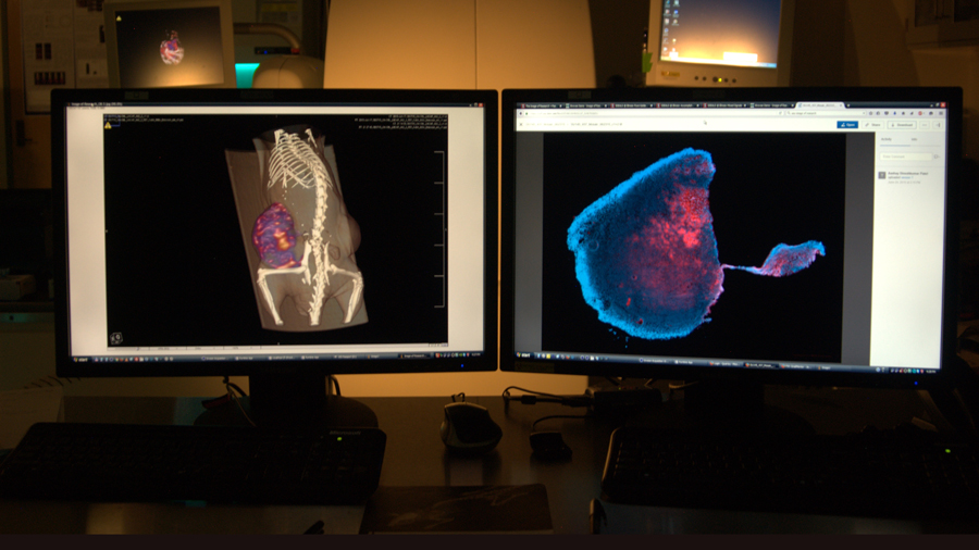 Illinois Featured Content