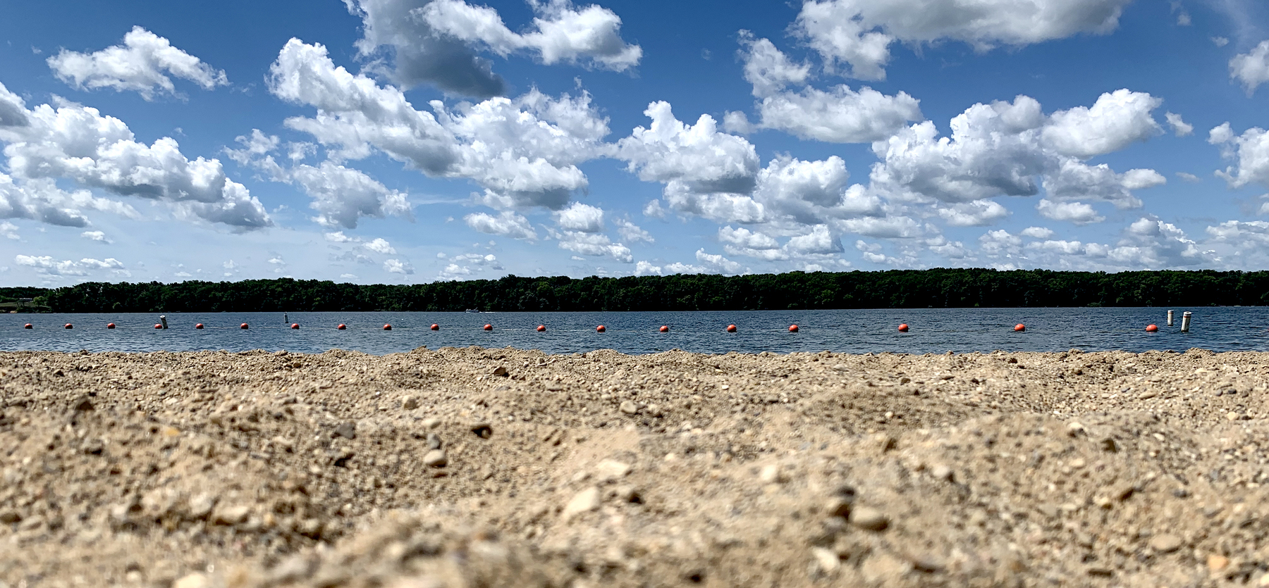 Illinois International News