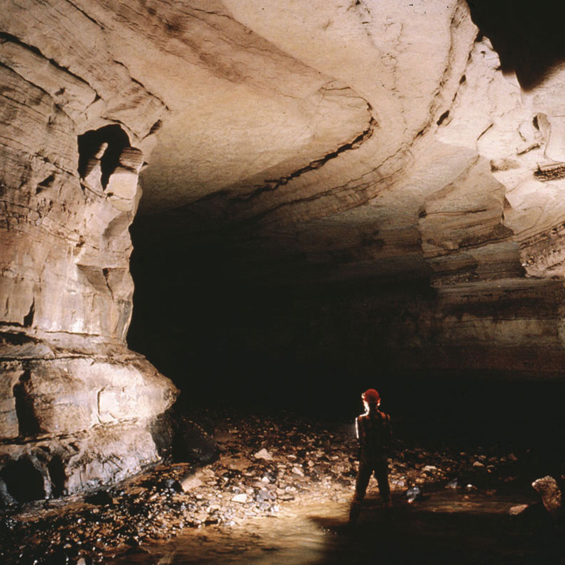 Prairie Research Institute News