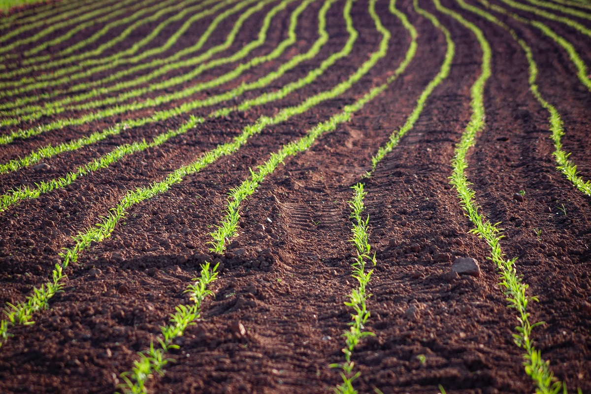 Prairie Research Institute News