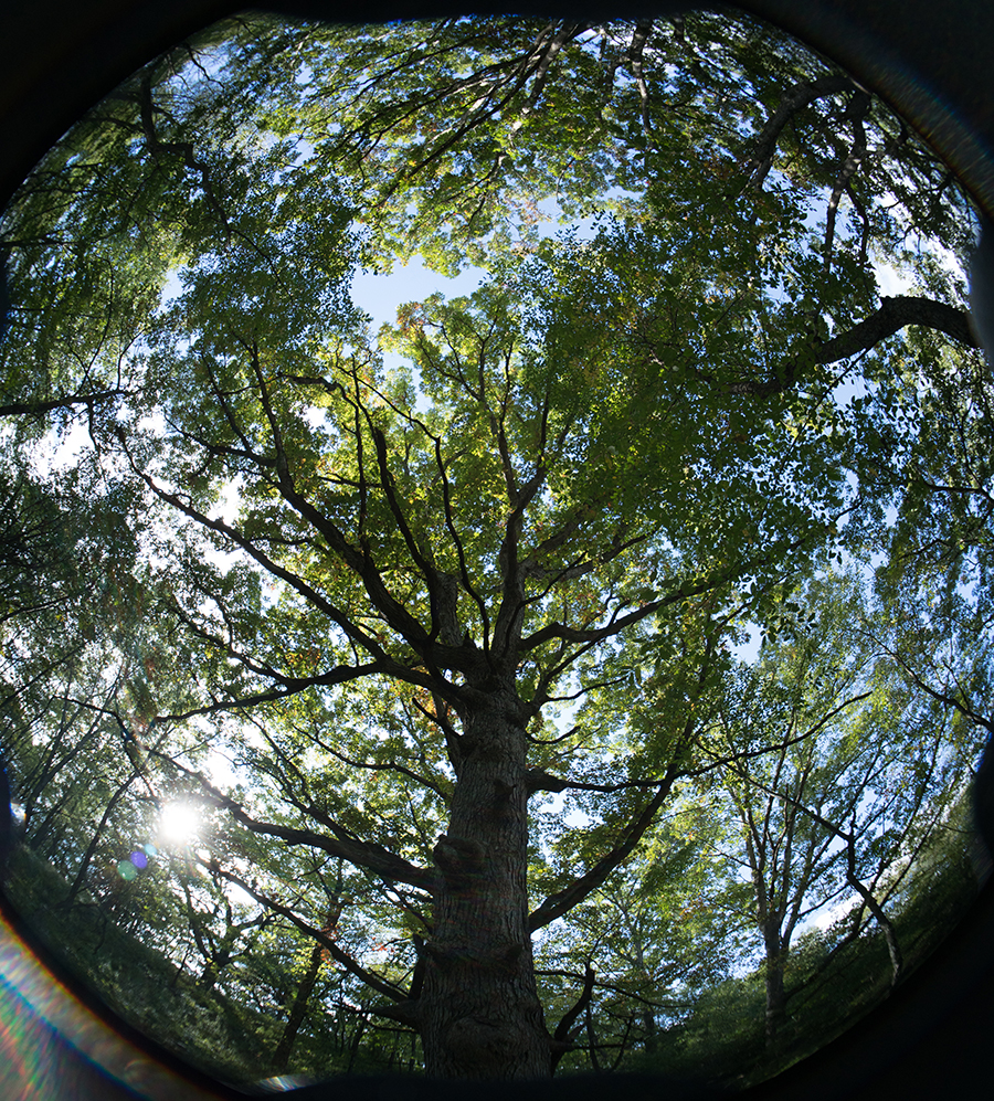 2021 Image of Research Exhibition